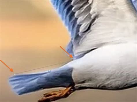 How To Remove Background In Gimp Methods Unlimited Graphic Design Service
