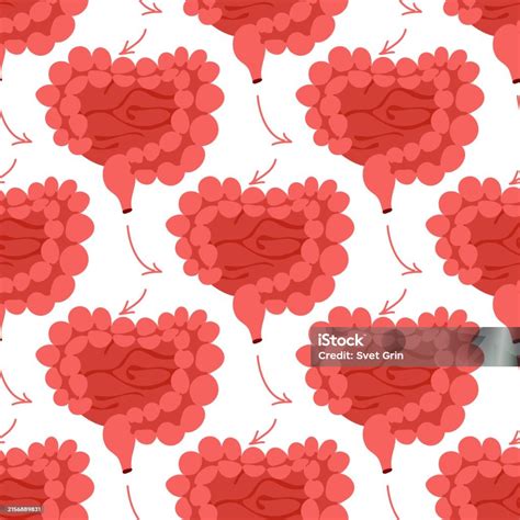 대장과 소장의 패턴 콜론의 선이 있는 반복 패턴입니다 건강 의학 내부 장기 건강한 장기와 질병의 영향을 받는 장기의 구조 두껍고