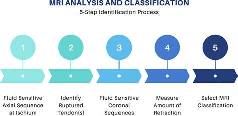 Magnetic Resonance Imaging Review Steps By Which To Identify A Proximal Download Scientific