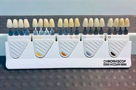 Figure 5 From An Overview Of Shade Selection In Clinical Dentistry