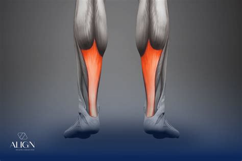 Achilles Tendon Stretch Flexibility And Mobility Guide Alignhc