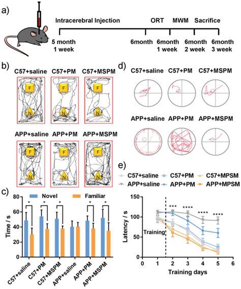 the improvement in memory performance of app ps1 mice a time schedule