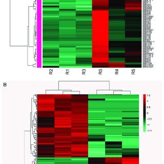 Heatmap Of RNA Sequencing Data A Expression Profiles Of