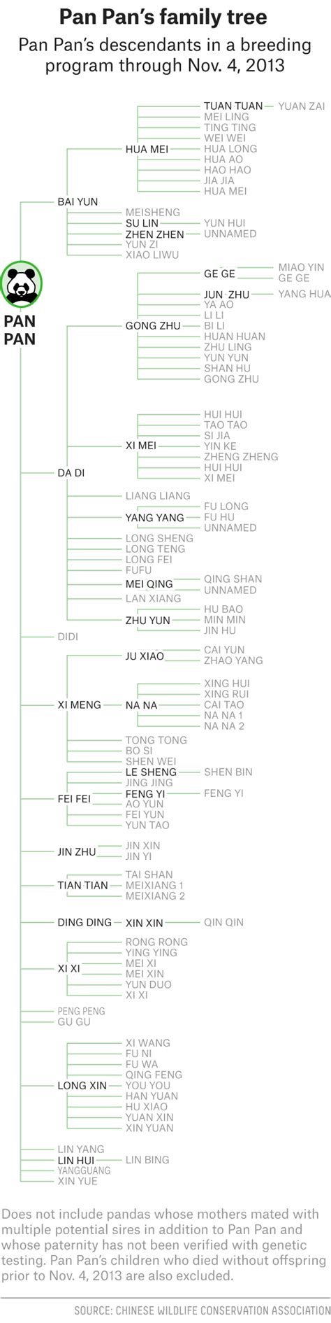 The Complicated Legacy Of A Panda Who Was Really Good At Sex