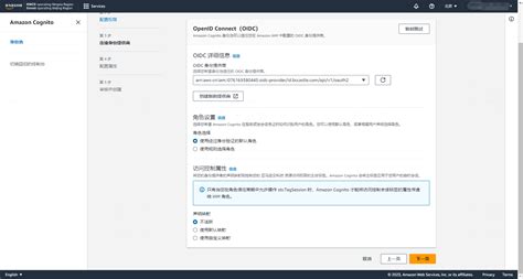 aws国内版cognito身份池 竹云idaas 开放平台