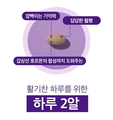 뉴로마스터 은행잎추출물 요오드 홍경천추출물 혈액순환 기억력 집중력 영양제