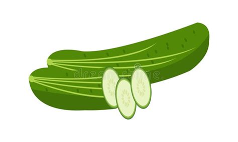 Cucumber Vector And Illustration Editorial Stock Image Illustration
