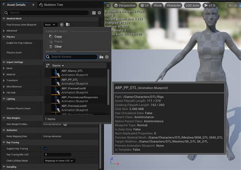 Setting The Dtl Animation Blueprint Post Process Asset