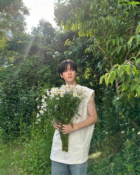 Yongsin Wongpanitnont Wiki Biography Age Gallery Spouse And More