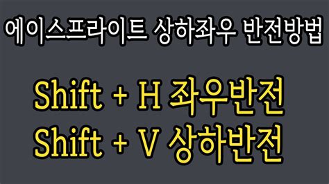 썸네일만 보면됨 클릭할 필요도 없음 에이스프라이트 Aseprite 상하좌우 반전 방법 Shift H Shift V