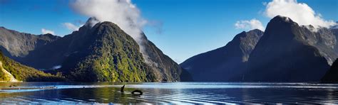 뉴질랜드 여행 추천 투어 리스트 남섬 투어 북섬 투어 액티비티 줌줌투어