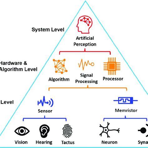 Development Hierarchy Of Artificial Perception System Connecting And