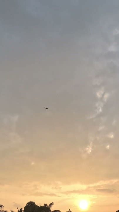 උදෑසනක දෙවතාවක් හිරු උදාවන දුර්ලභ දසුනක් Sunrise In Sri Lanka Nature Sunrise Youtube