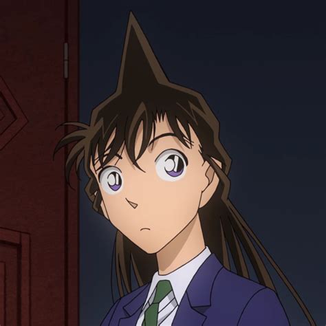 Fileran Tch Detective Conan Wiki