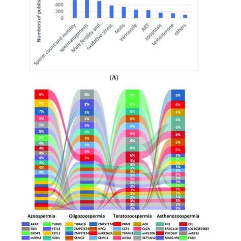Major Areas Of Research On Biomarkers Related To Male Infertility A Download Scientific