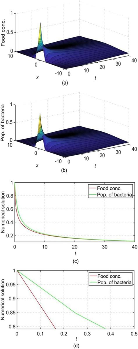 Results For The Chemotaxis Model Using Nsfd1 With K 01178 And H