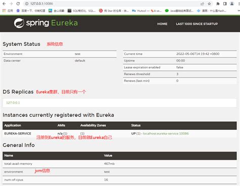Springcloudeureka 《springcloud 新手学习笔记》 极客文档
