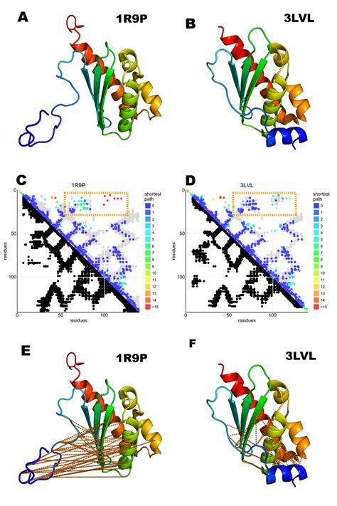 predicted n terminal interactions over iscu models with structured
