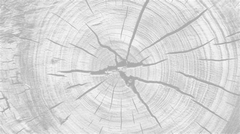 나무 조각으로 구성된 질감 있는 배경 나무 껍질 나이테 짖다 Png 일러스트 및 이미지 에 대한 무료 다운로드 Pngtree