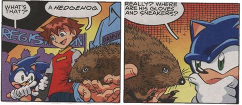 A Real Fucking Hedgehog Sonic The Hedgehog Know Your Meme