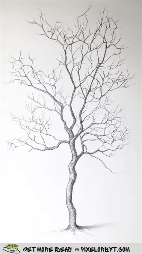 Tree Sketching Ideas Exploring Nature Pixel Orbyt