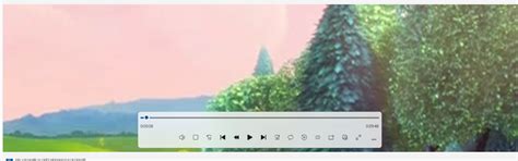 Gallery Wasmiosandroid Mediaplayerelement Incorrect Visual With