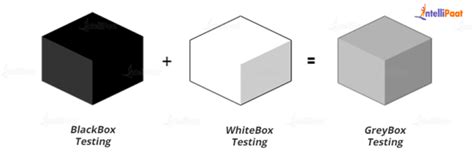Grey Box Testing Techniques Examples And More Intellipaat
