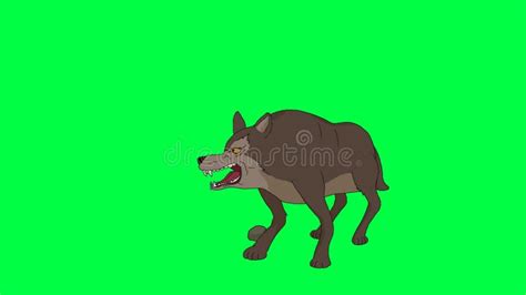 Wolf Run Cycle Frames