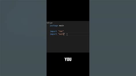 Day 2 Of Learning Go Basic Go Syntax Youtube