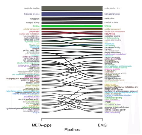 Comparison Of Counted Go Slim Annotations From Meta Pipe And The Emg