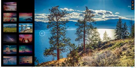 Multi Type Image Slider