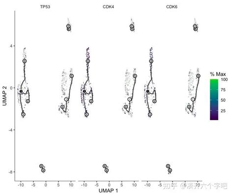 单细胞拟时序轨迹分析monocle3流程学习和整理 知乎
