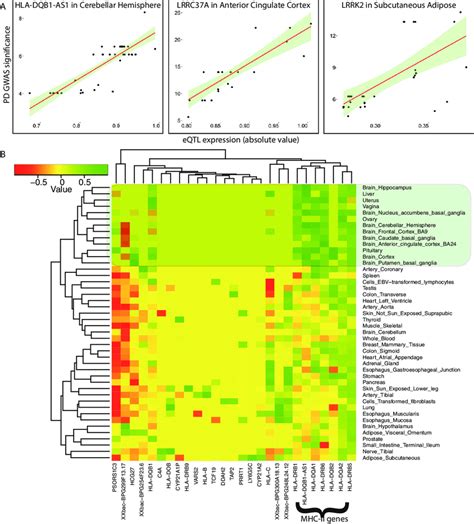 Correlation Between Gwas Significance And Eqtl Expression Level A