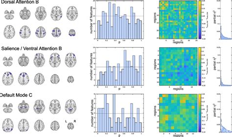 within network static functional connectivity of cognition related