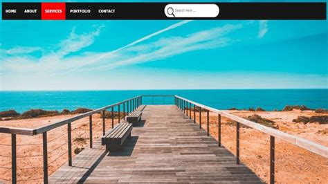 Animated Search Box With Html And Css