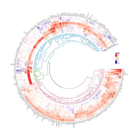 Circular Visualization Of Expression Patterns And Clustering Of