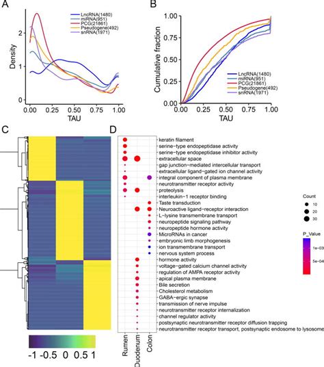 Transcriptomic Profiling Of Gastrointestinal Tracts In Dairy Cattle