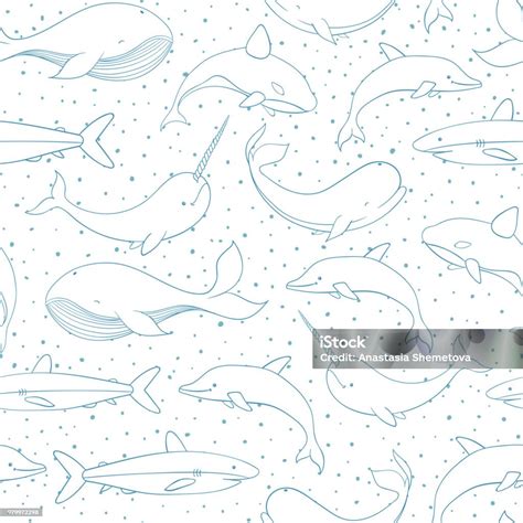 원활한 벡터 패턴 고래 상어 일각 고래 및 돌고래 블루 폴카 도트 화이트 바탕에 윤곽 바다 생물 0명에 대한 스톡 벡터 아트 및 기타 이미지 Istock