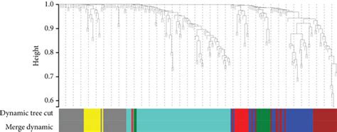 weighted correlation network analysis wgcna a analysis of the