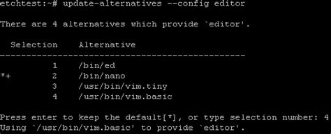 Howto Change Default Editor In Debian Etch Debian Admin