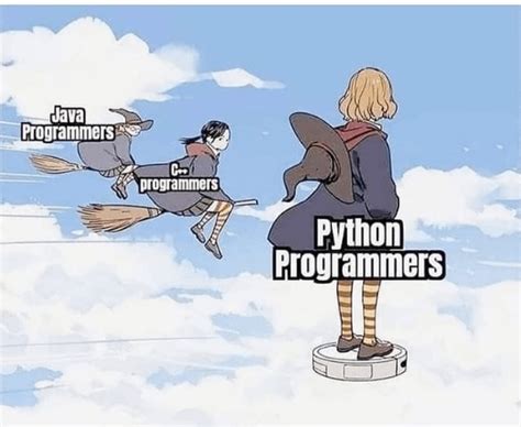 Python Programmers Be Like Rlittlewitchacademia