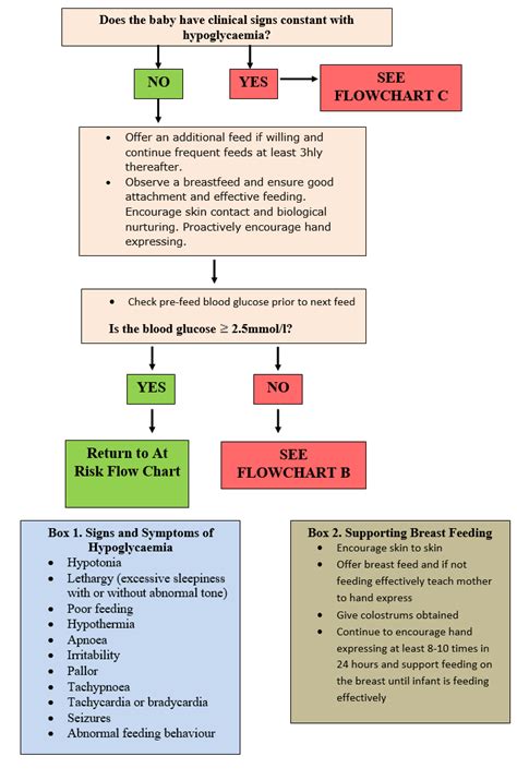 Hypoglycaemia Term Infants 948 Nhsggc