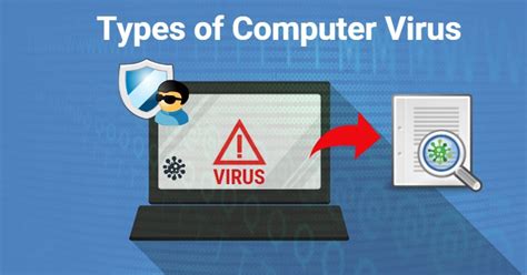 Computer Viruses Types Of Viruses And How To Prevent Them