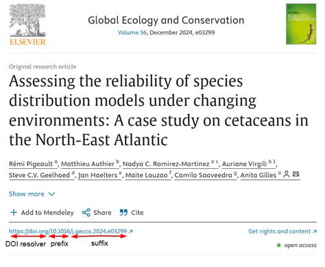 What Is DOI And Why Is It Important For Scientific Publications Blog Spubl Pl