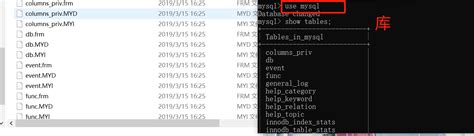 数据库和mysql常用的语法 因近 博客园
