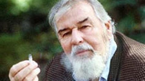 Interview Mit Bernhard Wicki