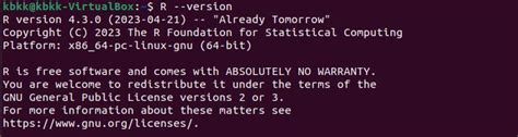 Installing And Setting Up R Naukri Code
