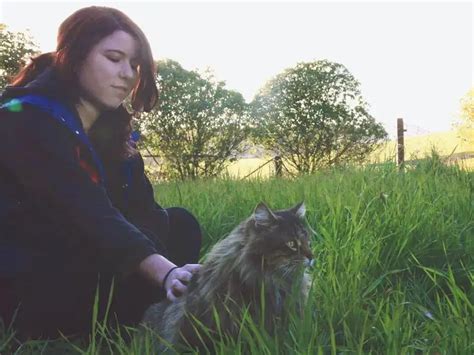 Leah V Professional Cat Sitter In Oakland Ca