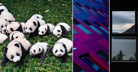 list pandas curated by swapnil parkhe medium