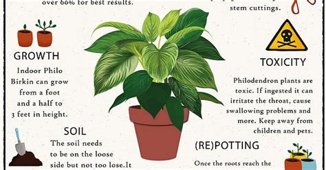 Cheat Sheet Album On Imgur